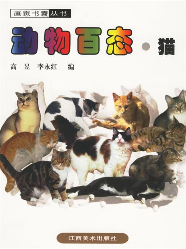 动物百态·猫 高昱,李永红 编