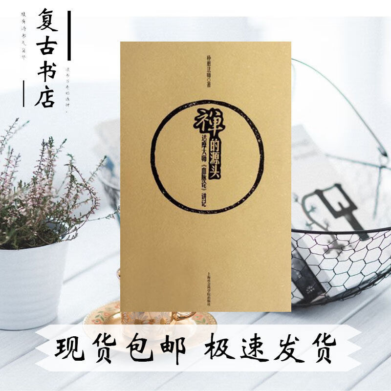 禅的源头 达摩大师血脉论讲记 上海社会科朴憨法师禅宗佛教史研究