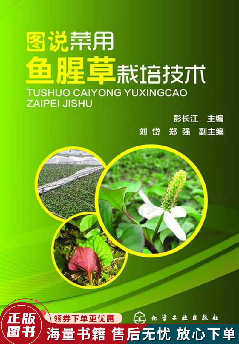 图说菜用：鱼腥草栽培技术