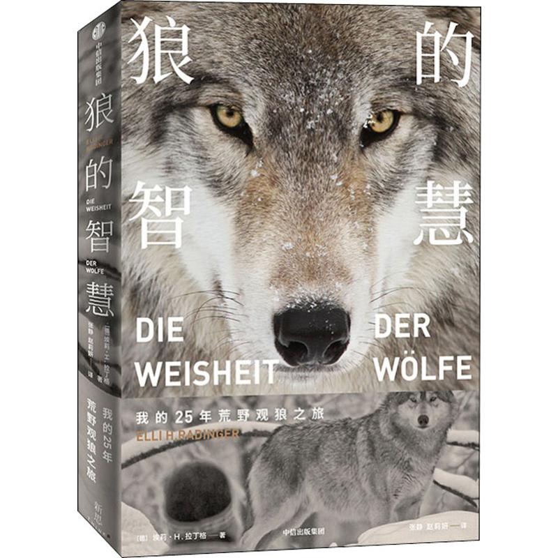 狼的智慧 我的25年荒野观狼之旅 樊登推荐