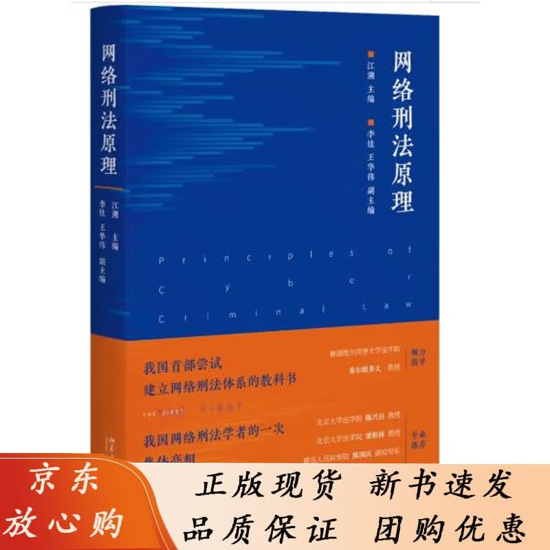 网络刑法原理 江溯 著 2022年版