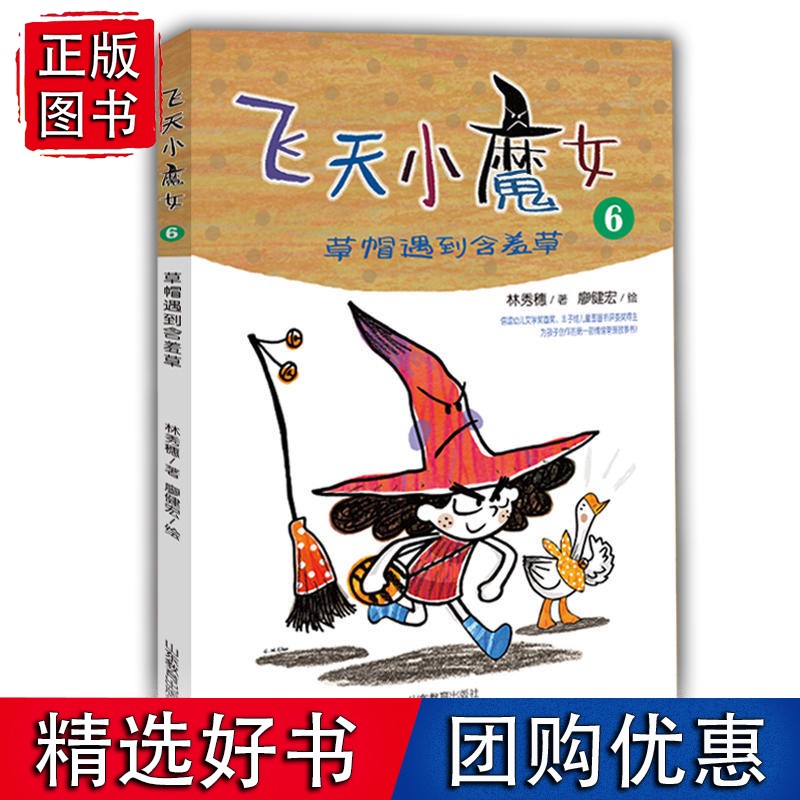 飞天小魔女6