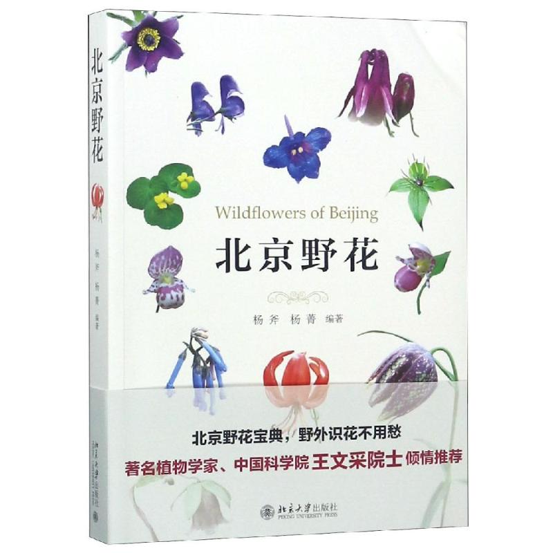 北京野花 杨斧,杨菁 书籍