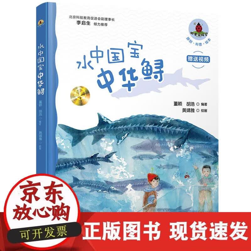 【现货】水中国宝中华鲟
