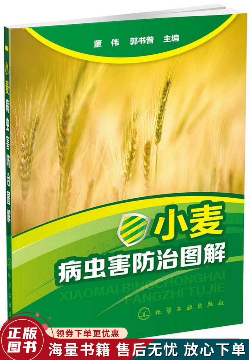 小麦病虫害防治图解