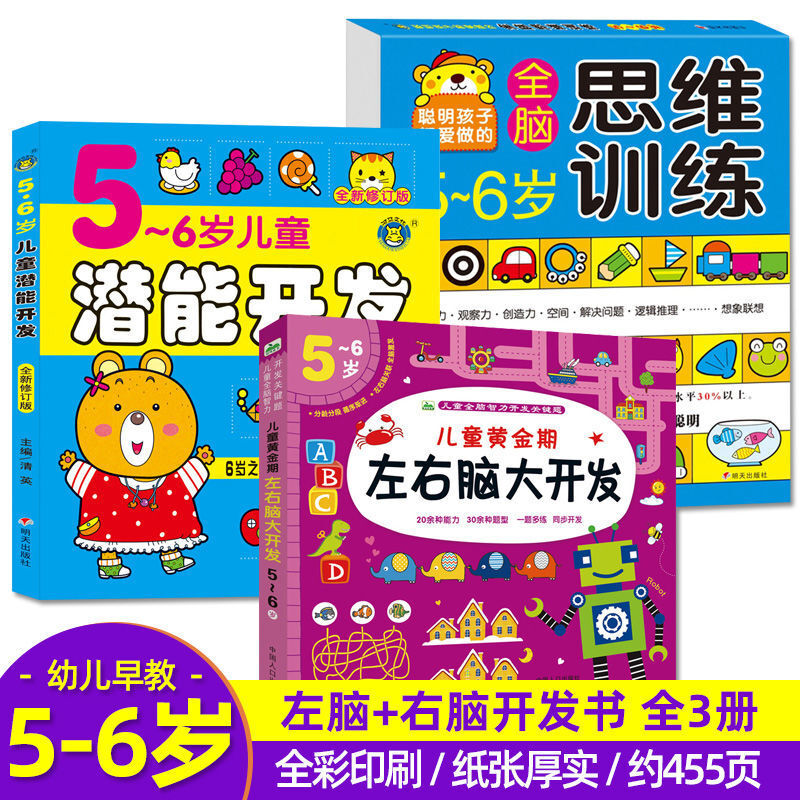 儿童黄金期左右脑大开发 2-3-4-5-6-7岁全脑智力开发思维训练益智游戏书两三四岁益智儿童书籍专注力迷宫连线数字书幼小衔接教材全套启蒙认知早教宝宝书本 思维训练全套3册【5-6岁】