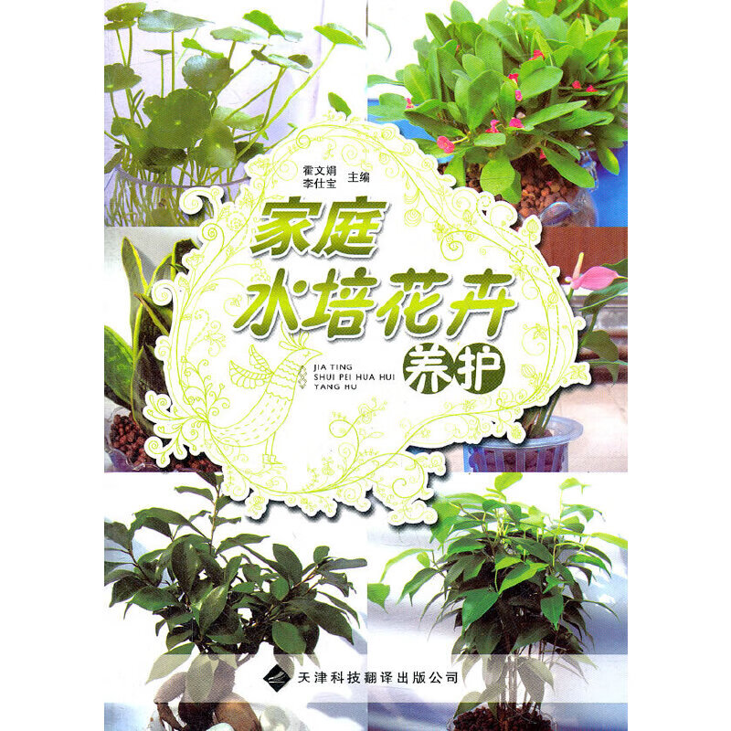 家庭水培花卉养护