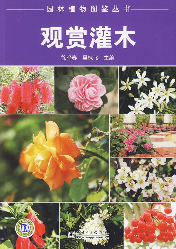 观赏灌木