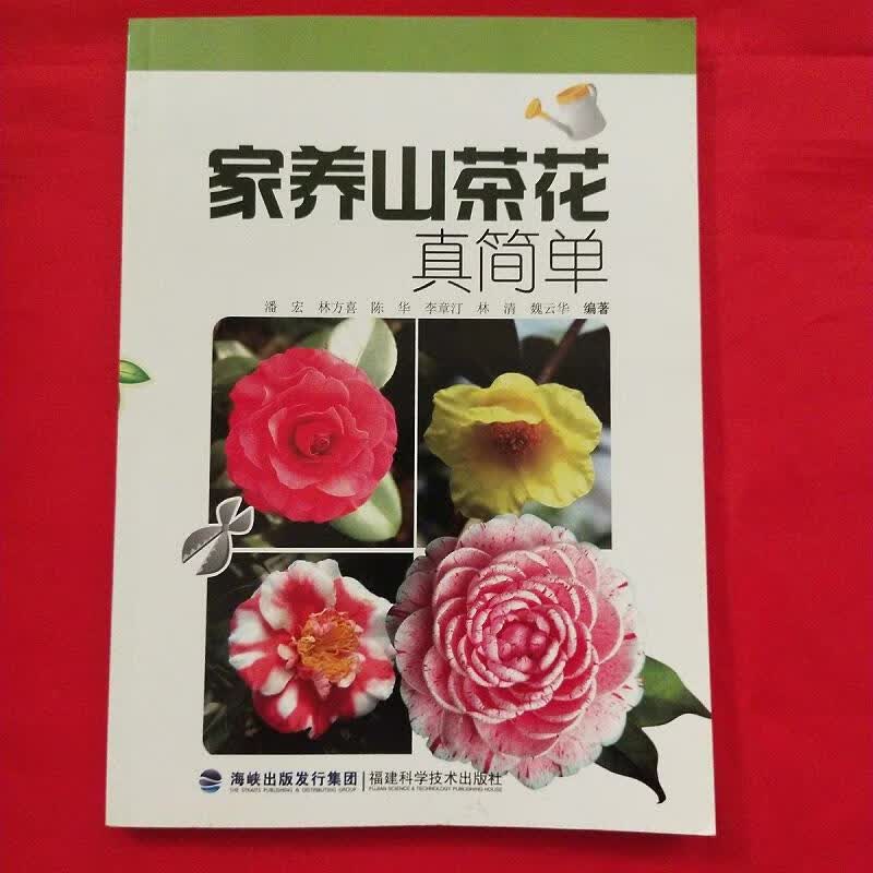 家养山茶花真简单