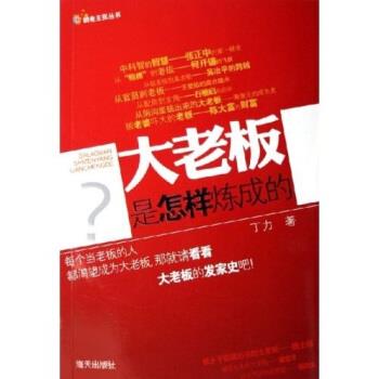 大老板是怎样炼成的 丁力 著