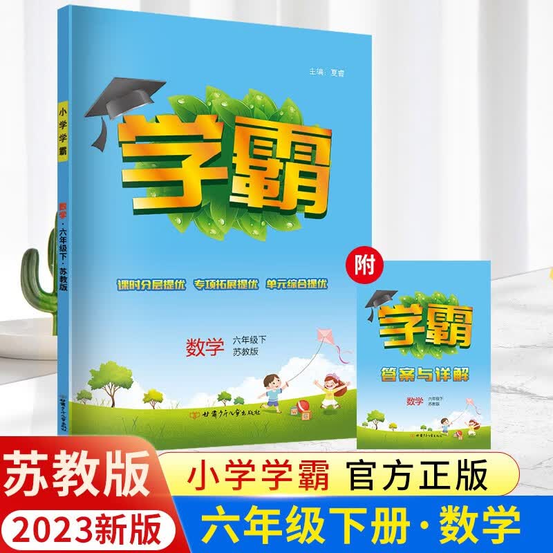 23春新版学霸六年级数学苏教版SJ下册同步作业
