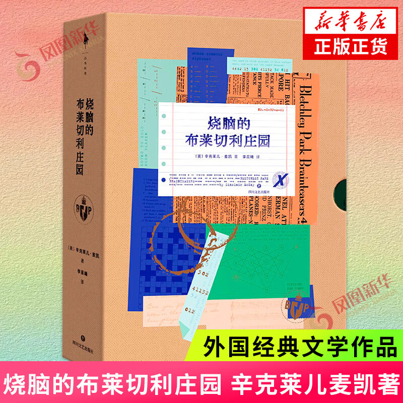 烧脑的布莱切利庄园 辛克莱儿麦凯著 以模仿游戏中人工智能之父图灵所效力的二战传奇破译基地布莱切利庄园真实谜题为原型侦探小说 正货