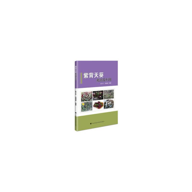 紫背天葵栽培及利用
