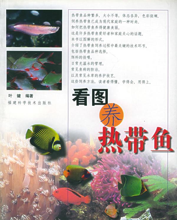 看图养热带鱼 叶键 编著