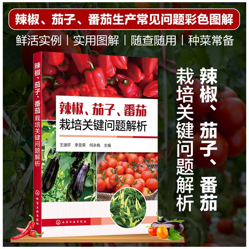 辣椒茄子番茄栽培关键问题解析 辣椒品种育苗 茄子栽培管理 番茄主要病虫草害防治 蔬菜经营实用全彩图书籍 菜农生产必备应用书籍