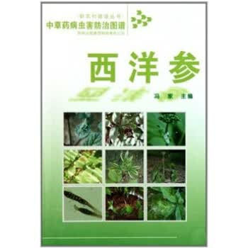 西洋参-中草药病虫害防治图谱 冯家 著