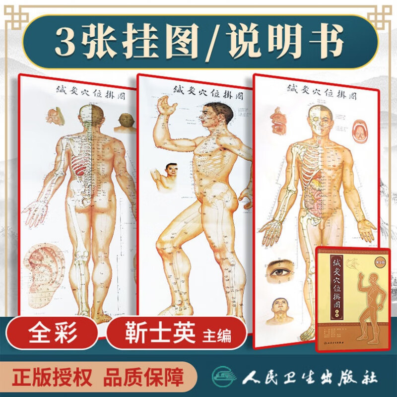 针灸穴位挂图 真人版 共3张 人体经络穴位图 经络穴位图