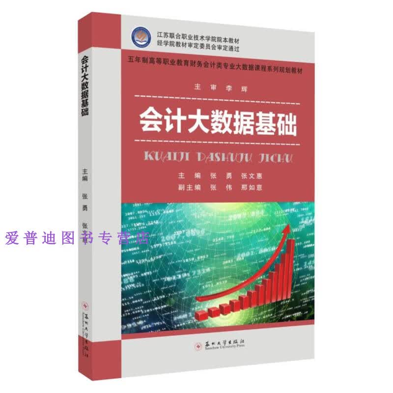 会计大数据基础【好书，下单速发】