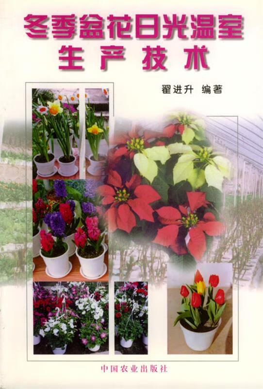 冬季盆花日光温室生产技术