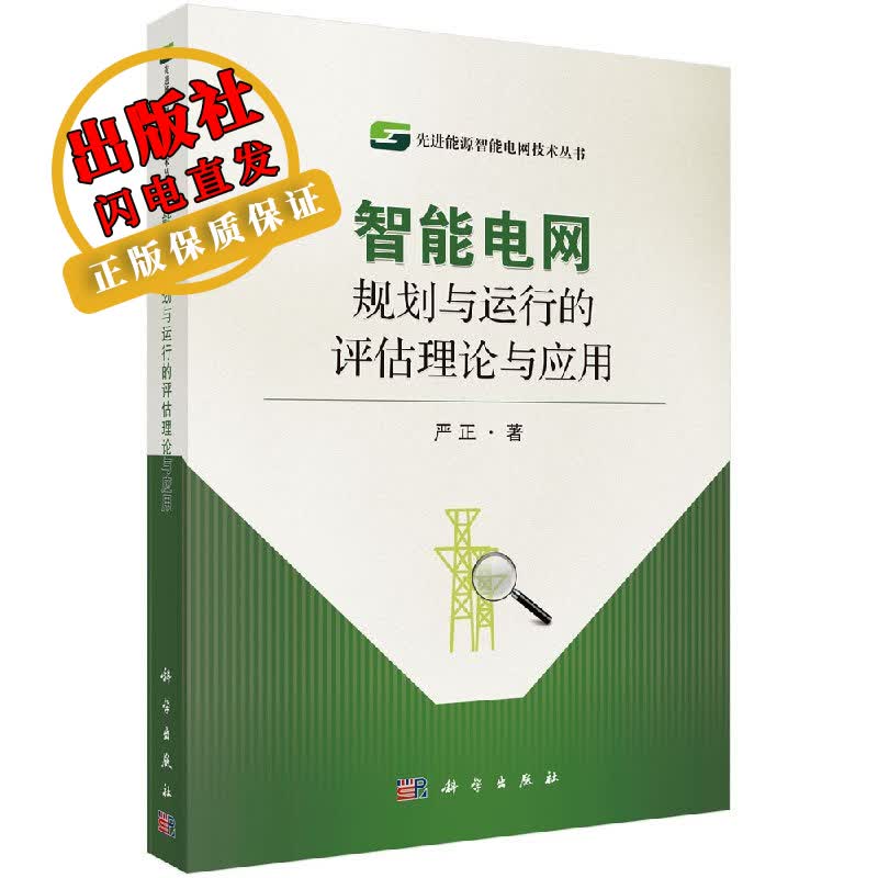 智能电网规划与运行的评估理论与应用