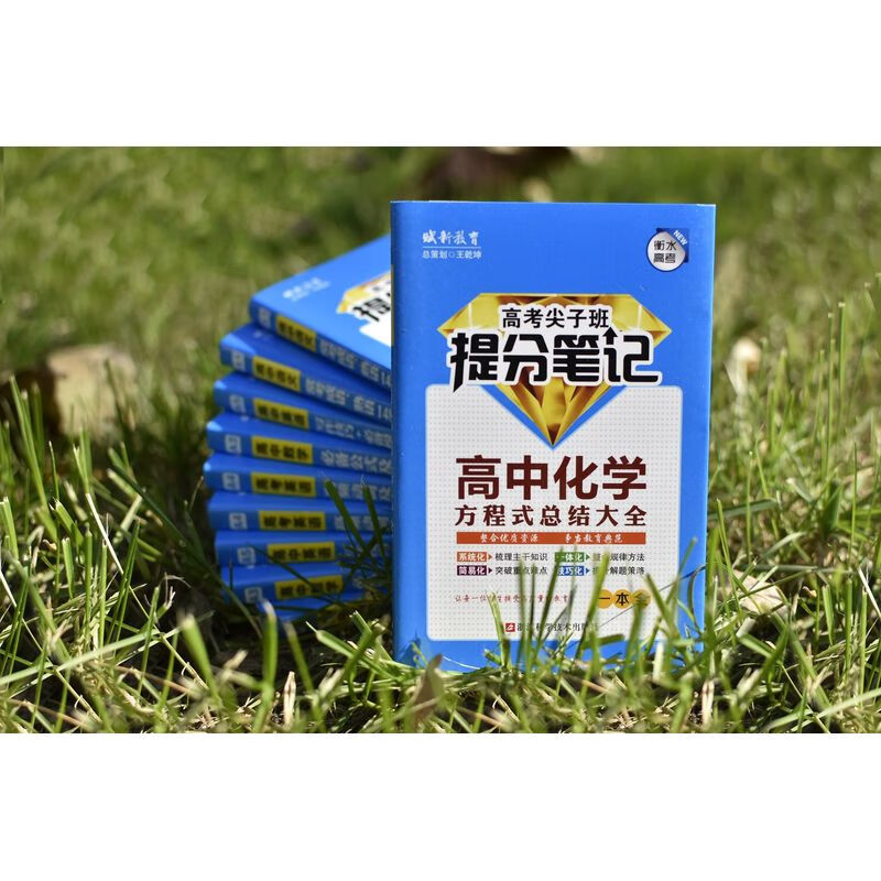 2021高考状元提分笔记高中 高考专员提分笔记化学 高考化学方程式