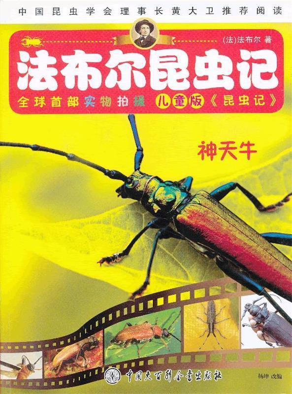 法布尔昆虫记:神天牛