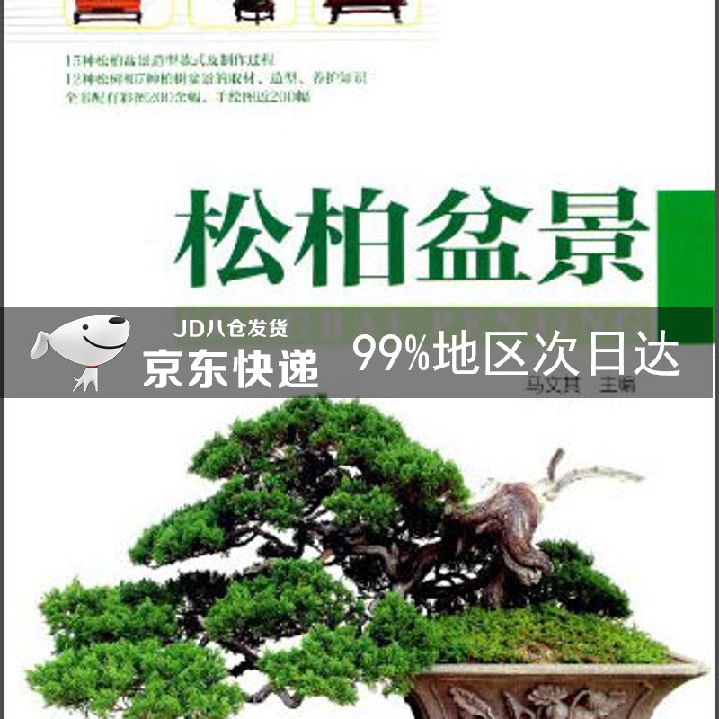松柏盆景