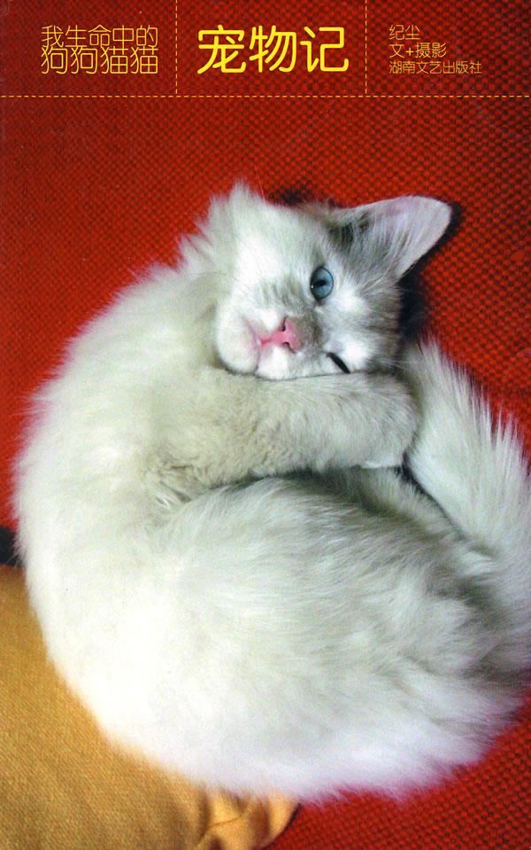 宠物记:我生命中的狗狗猫猫