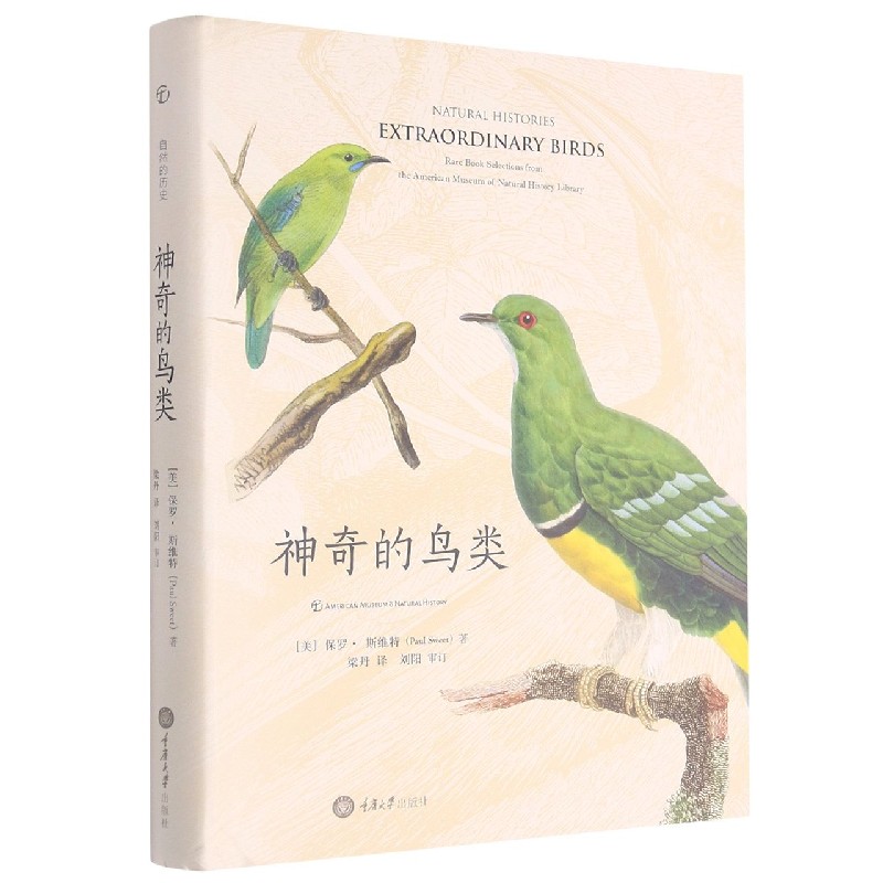 神奇的鸟类(精) (美)保罗·斯维特