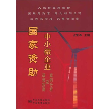 国家资助中小微企业政策指南及案例分析