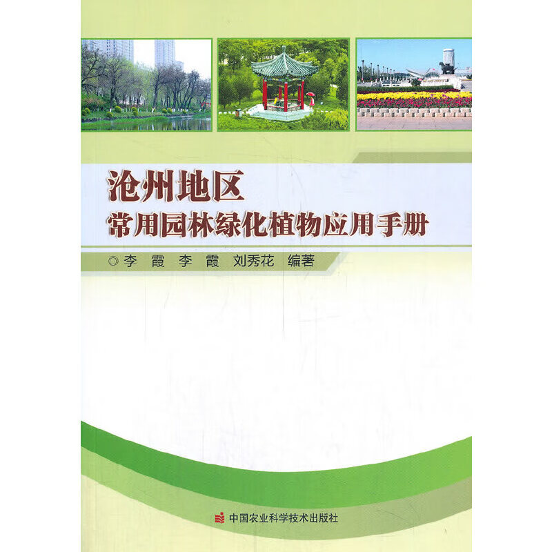 沧州地区常用园林绿化植物应用