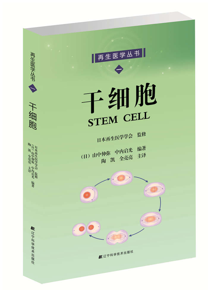 干细胞