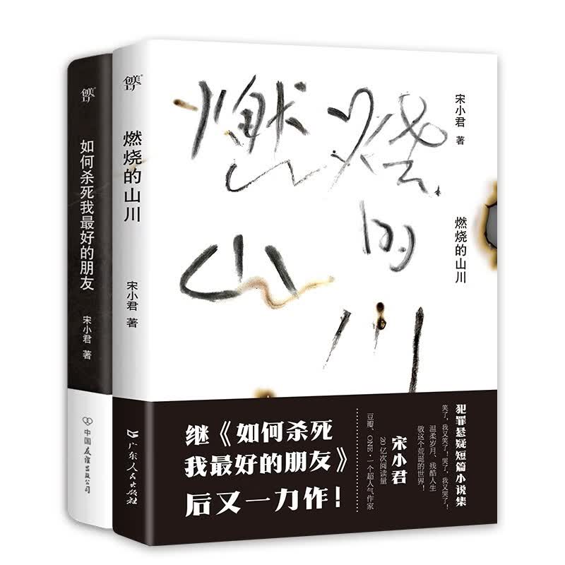【京东定制 附赠故事卡】宋小君荒诞人生系列：燃烧的山川等2册 悲怆、炽热的悬疑罪案短篇小说集 创美工厂