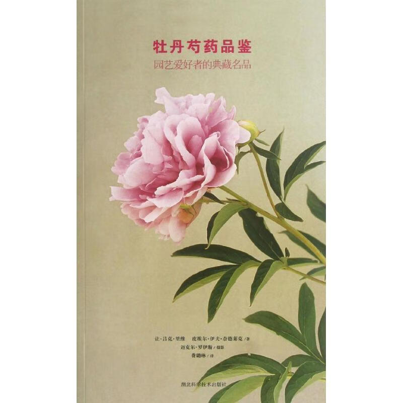 牡丹芍药品鉴