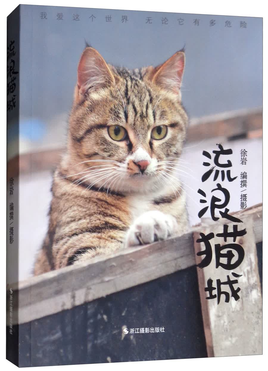 流浪猫城