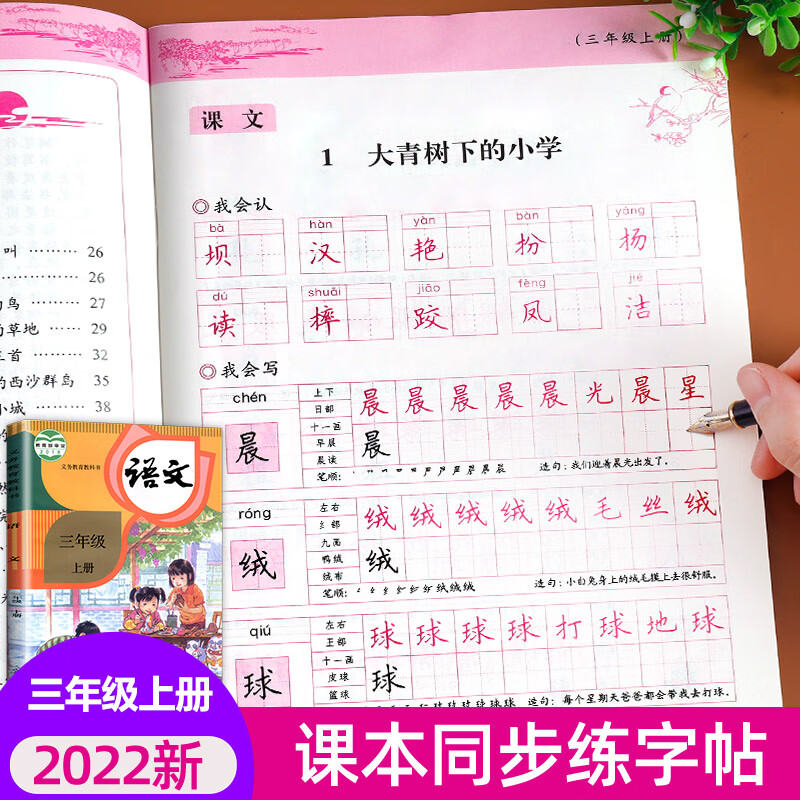 三年级上册语文字帖同步练字帖人教版三上每日一练小学生专用3年级字帖上学期钢笔练字小学写字帖惠HC