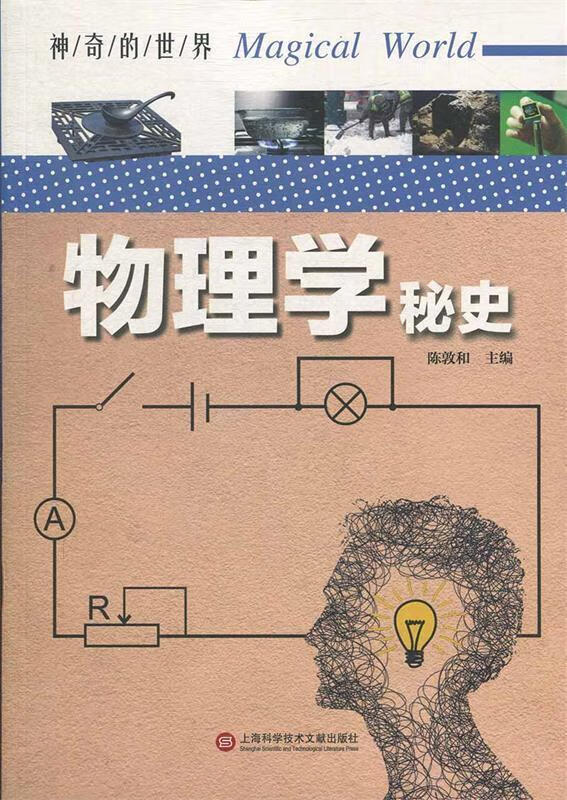 神奇的世界—物理学秘史 陈敦和 著 上海科学技术文献出版社 9787543978935