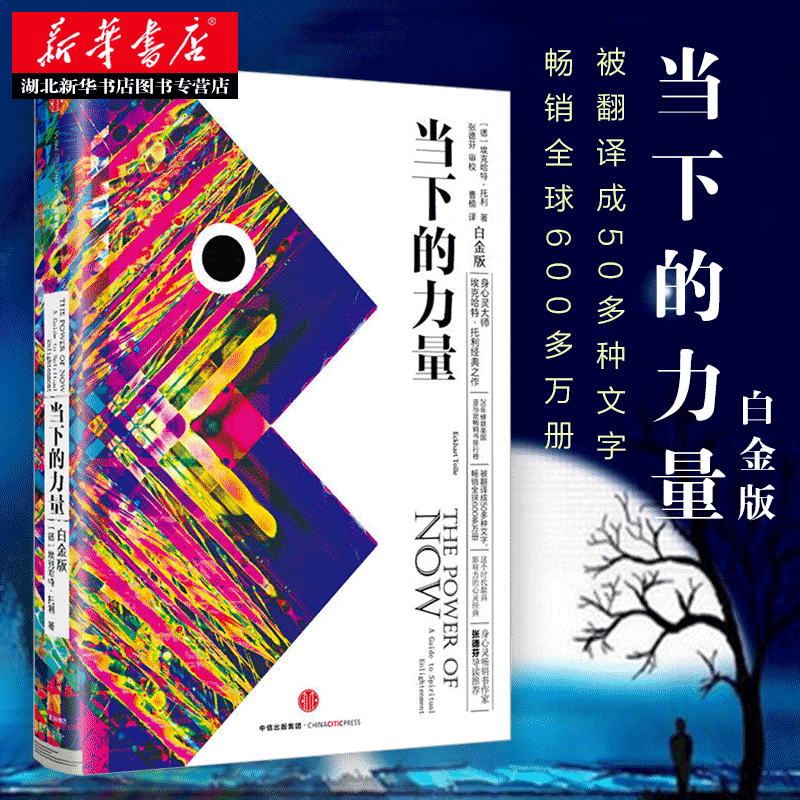 当下的力量 埃克哈特托利著硬皮精装新版白金版自我实现励志读物心灵大师经典之作张德芬 书籍湖北新华