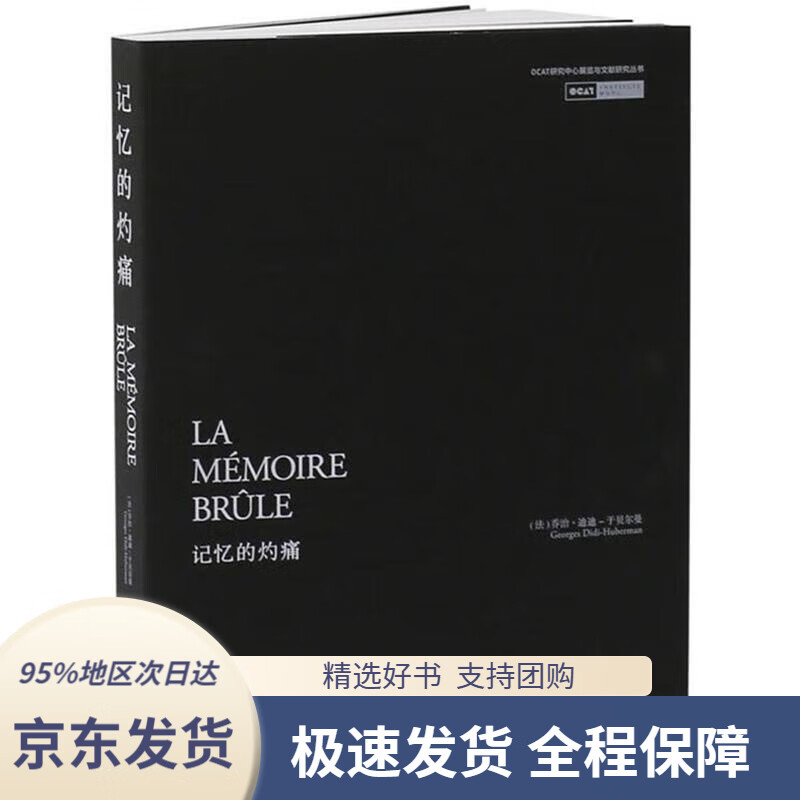 【 京东配送 支持团购】记忆的灼痛