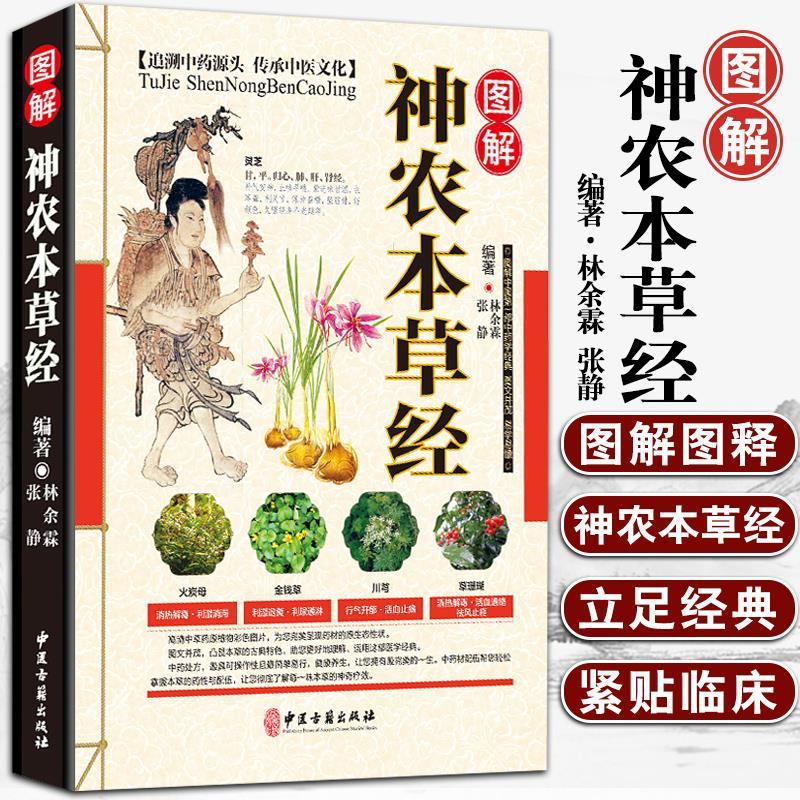图解 神农本草经四年级 小学生课外阅读书 中草药彩图大全书 中医中药书籍大全 中药学古籍出版社 本草纲目中