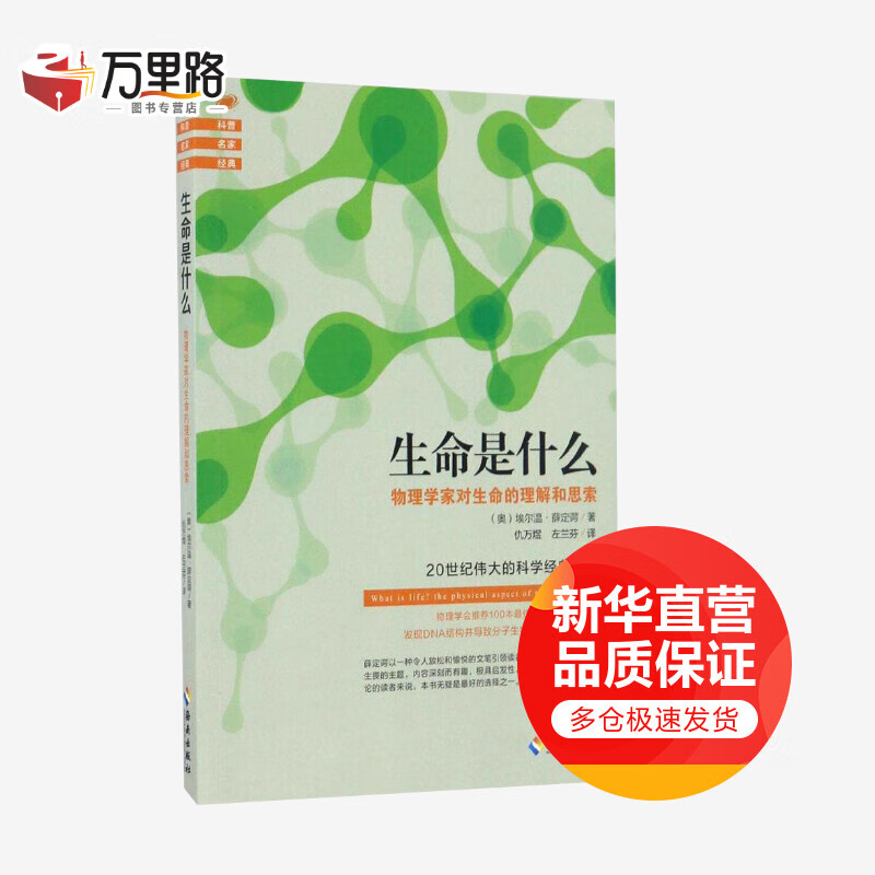 生命是什么