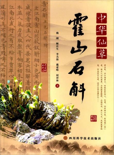 中华仙霍山石斛