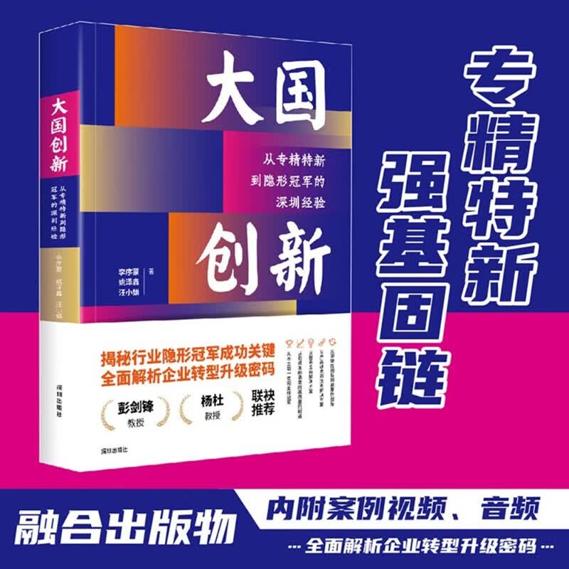大国创新：从专精特新到隐形冠军的深圳经验  深圳出版社