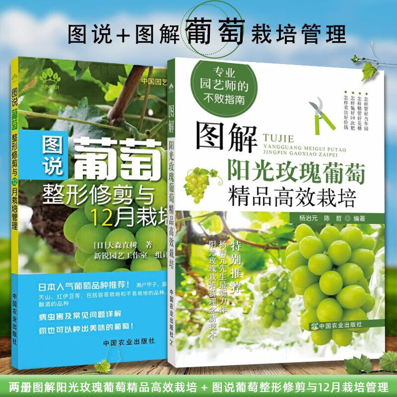 彩图版图解阳光玫瑰葡萄精品高效栽培+图说葡萄整形修剪与12月栽培管理 全2册 葡萄种植技术书籍葡萄实用栽培技术大全 s书籍
