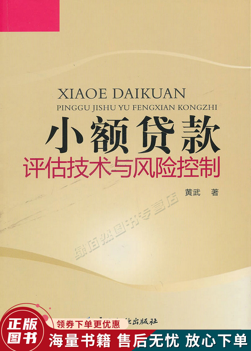 小额贷款评估技术与风险控制