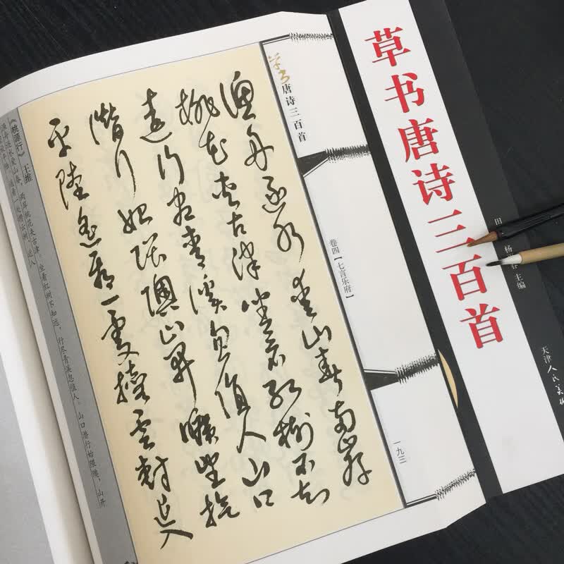 草书唐诗三百首 毛笔字帖 名家诗词五言古诗七言绝句书法行草 套餐2：草书唐诗三百首