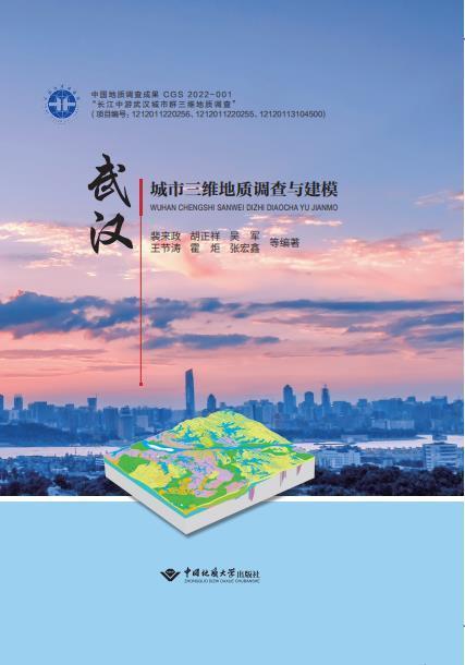 武汉城市三维地质调查与建模科学与自然 图书