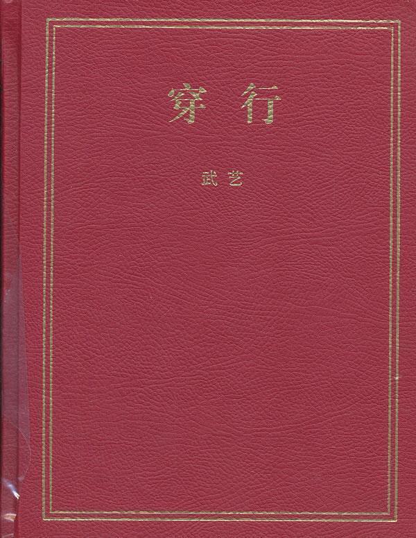 穿行 武艺著【书】