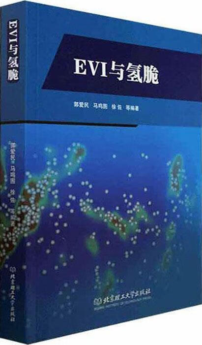 EVI与氢脆 郭爱民,等编著 北京理工大学出版社