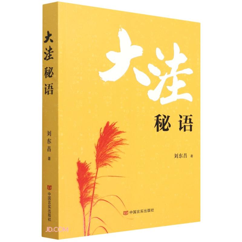 大洼秘语 刘东昌著 中国言实 9787517139423 39423